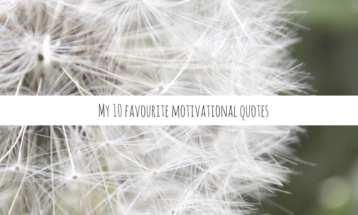 Most Favourite Quotes